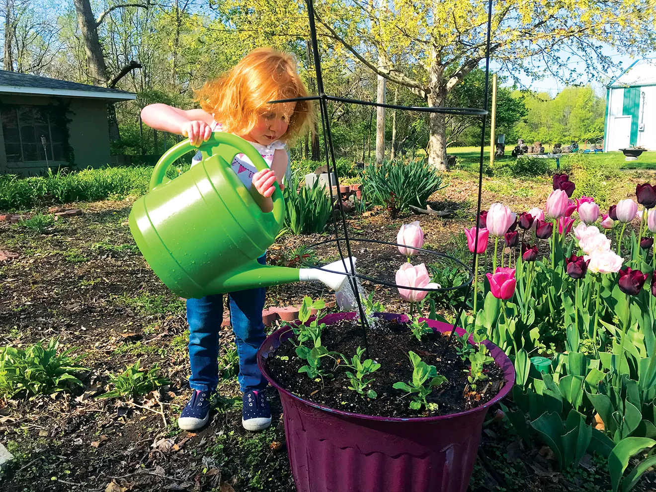 Container gardening for kids