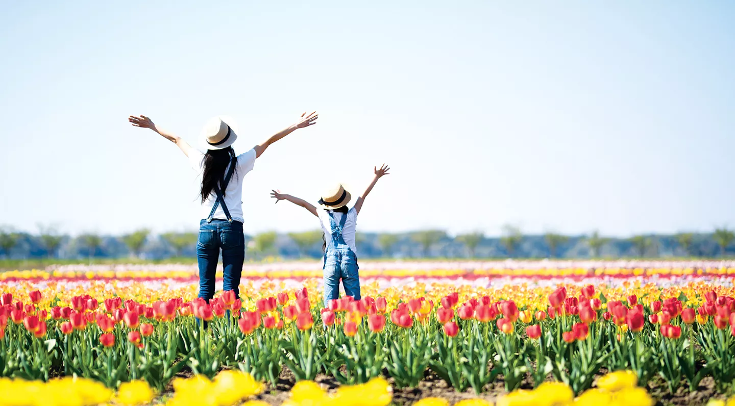 Spring Guide calendar